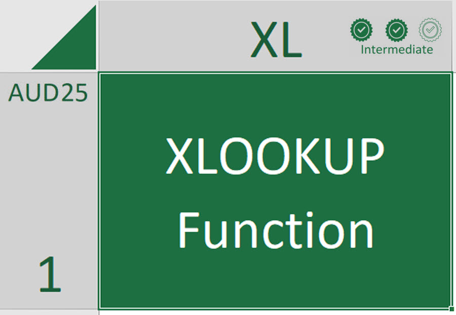 Excel XLOOKUP Function (1.5 hours)